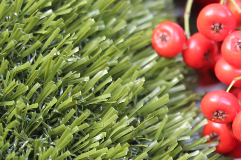 Pet Grass 85 - Genesis Turf