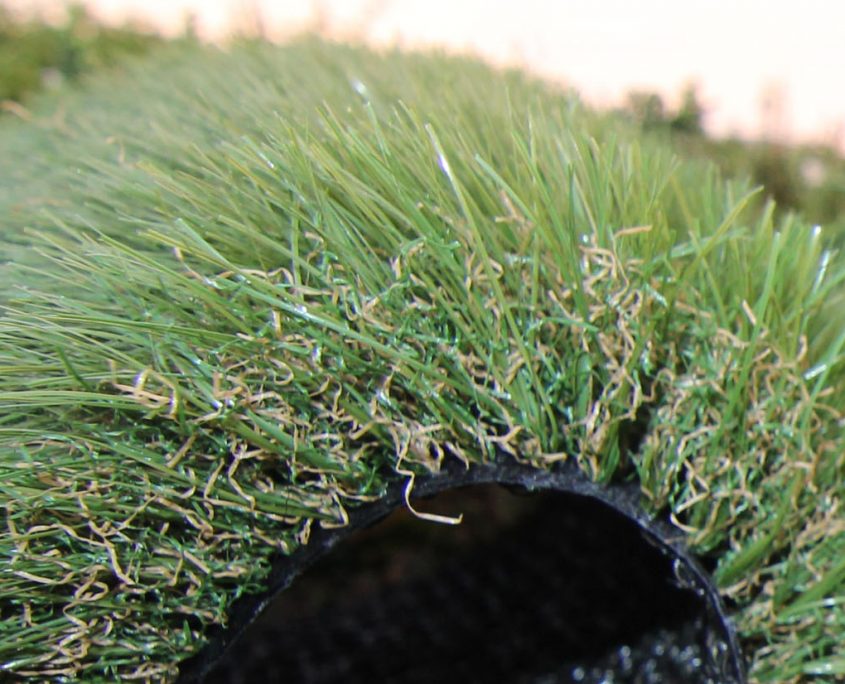 Tacoma - Genesis Turf