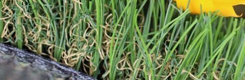 Riviera Monterey - Genesis Turf