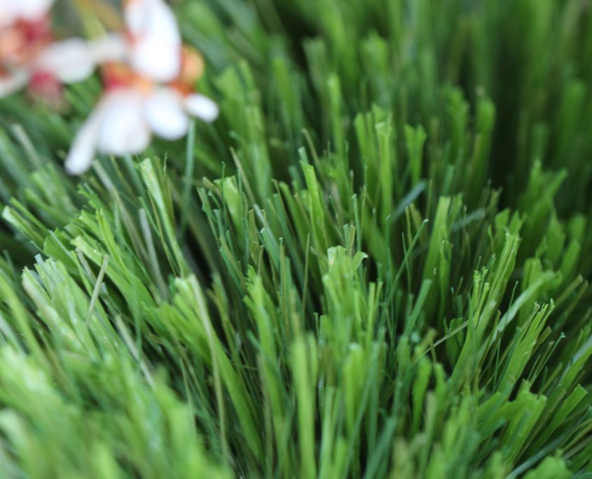Artificial Turf Catalog - Genesis Turf