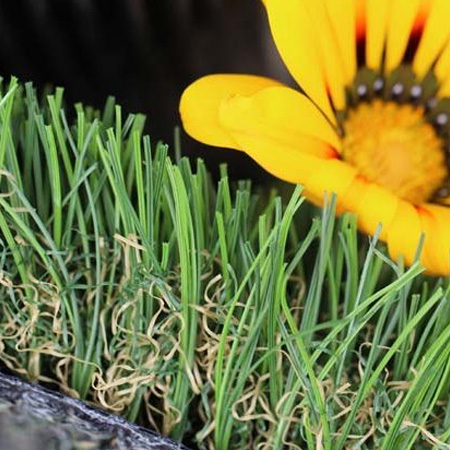 Riviera Monterey - Genesis Turf